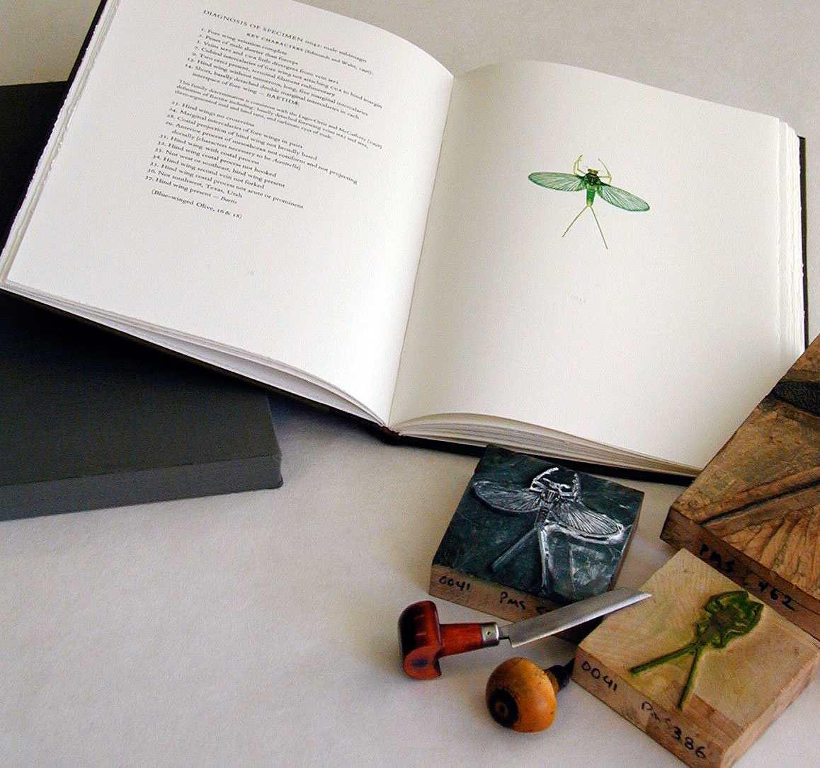 Mayflies of the Driftless Region | The Freshwater Blog