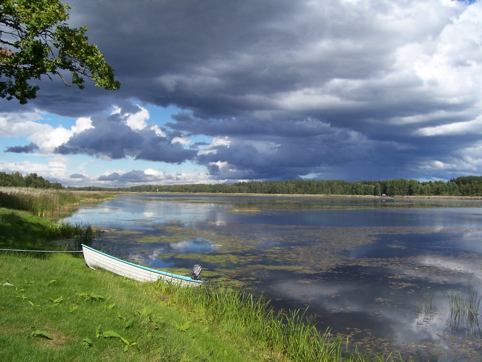 Meet the BioFresh team: Sonja Stendera | The Freshwater Blog