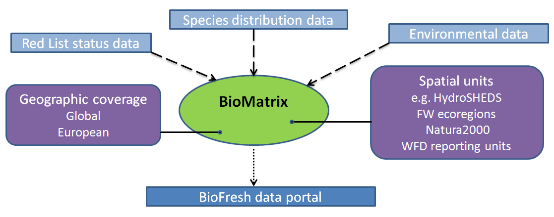 The Biodiversity Matrix – a database of contemporary distributions and ...