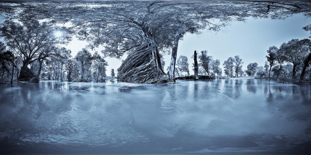 Panoramic freshwater photographer Paul Stewart’s first solo exhibition ...