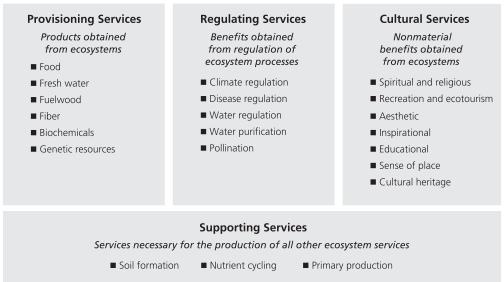 What is the ‘ecosystem services’ concept? | The Freshwater Blog