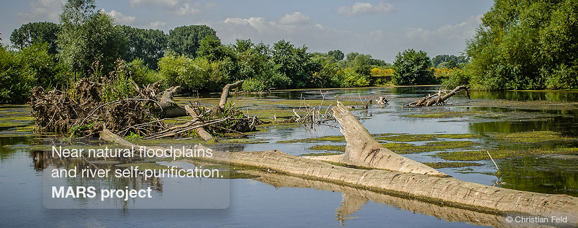 Introducing the MARS project: Part 2 | The Freshwater Blog