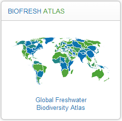 Special Feature: Maps in Action | The Freshwater Blog