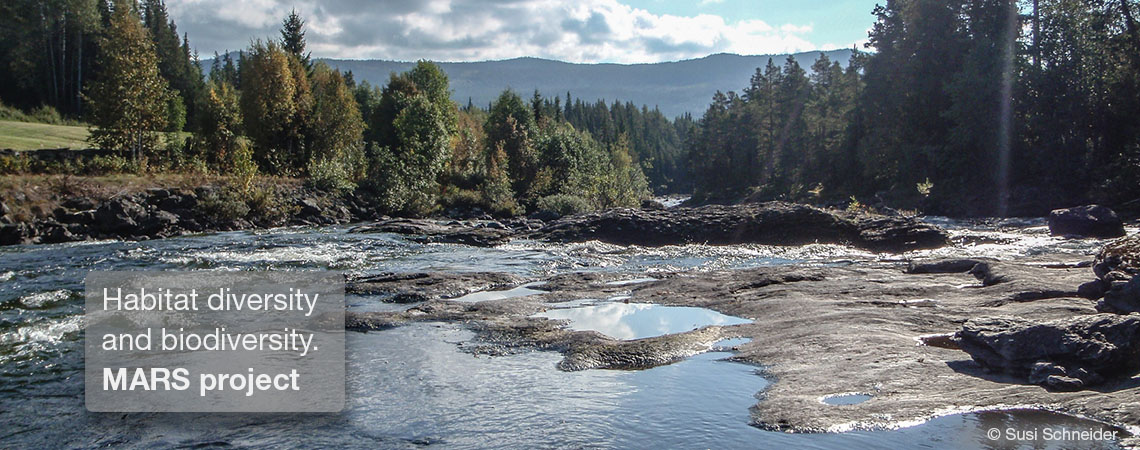 An introduction to the MARS project | The Freshwater Blog