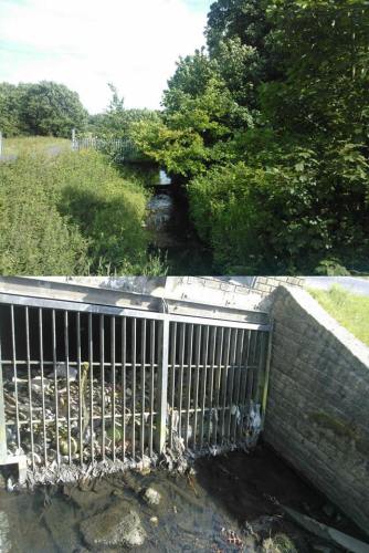 Daylighting Urban Rivers | The Freshwater Blog