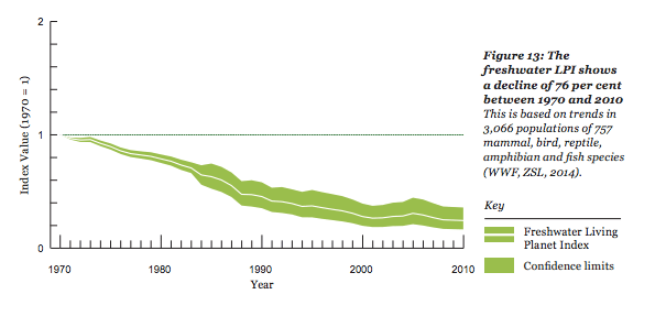 WWF Living Planet Report suggests 76% decline in freshwater species ...