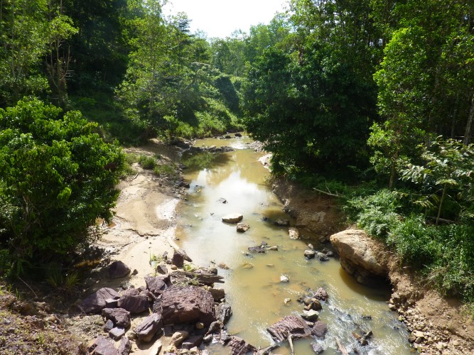 Corridors and buffers: Claudia Gray on riparian zones in Malaysia and ...