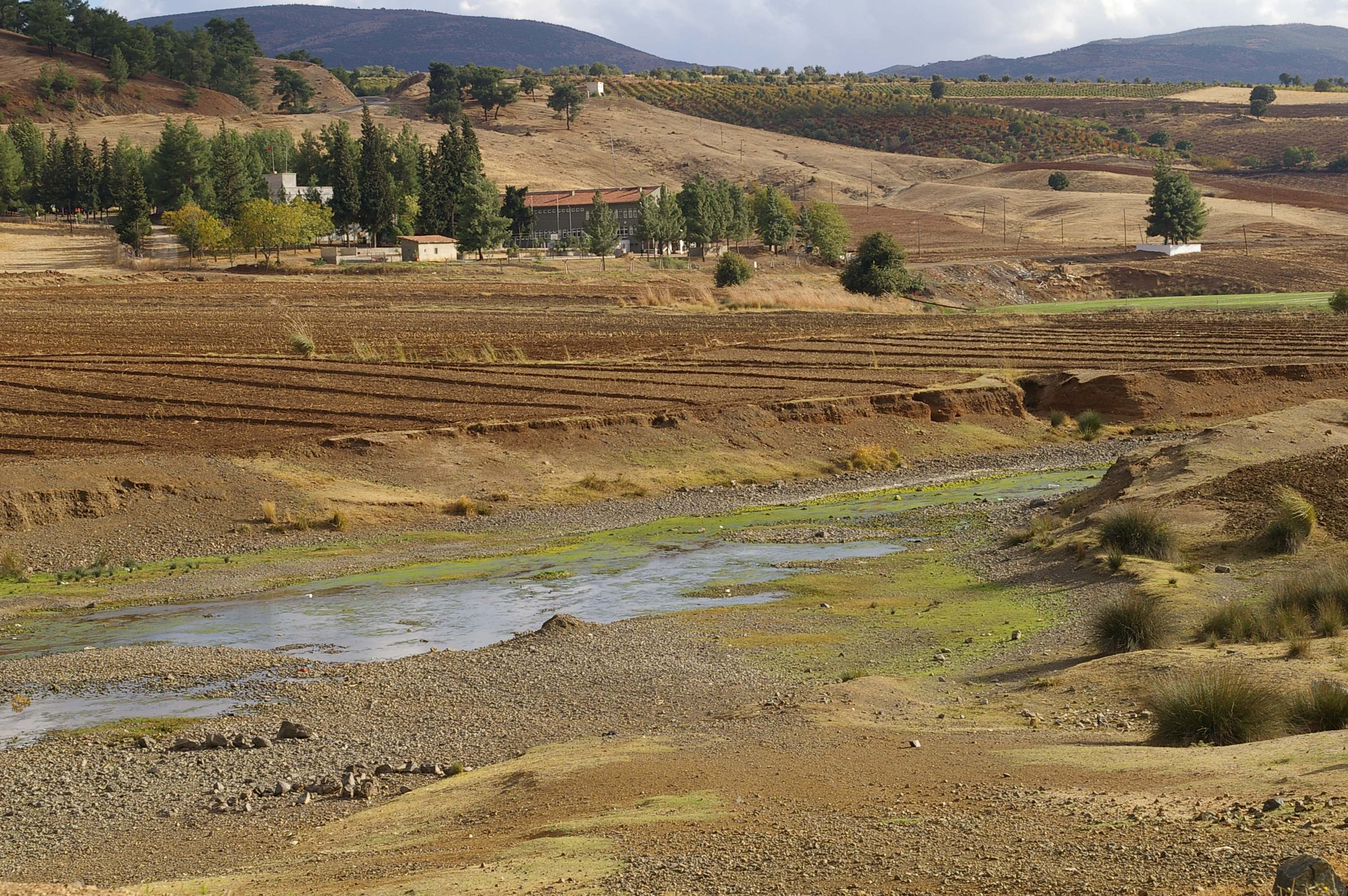 Water and wetlands in the Eastern Mediterranean – critical for people ...