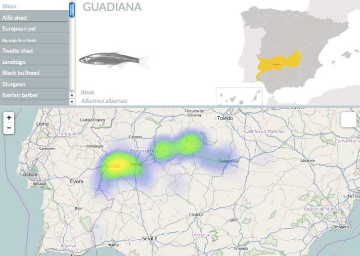 A new freshwater fish database for Spain | The Freshwater Blog