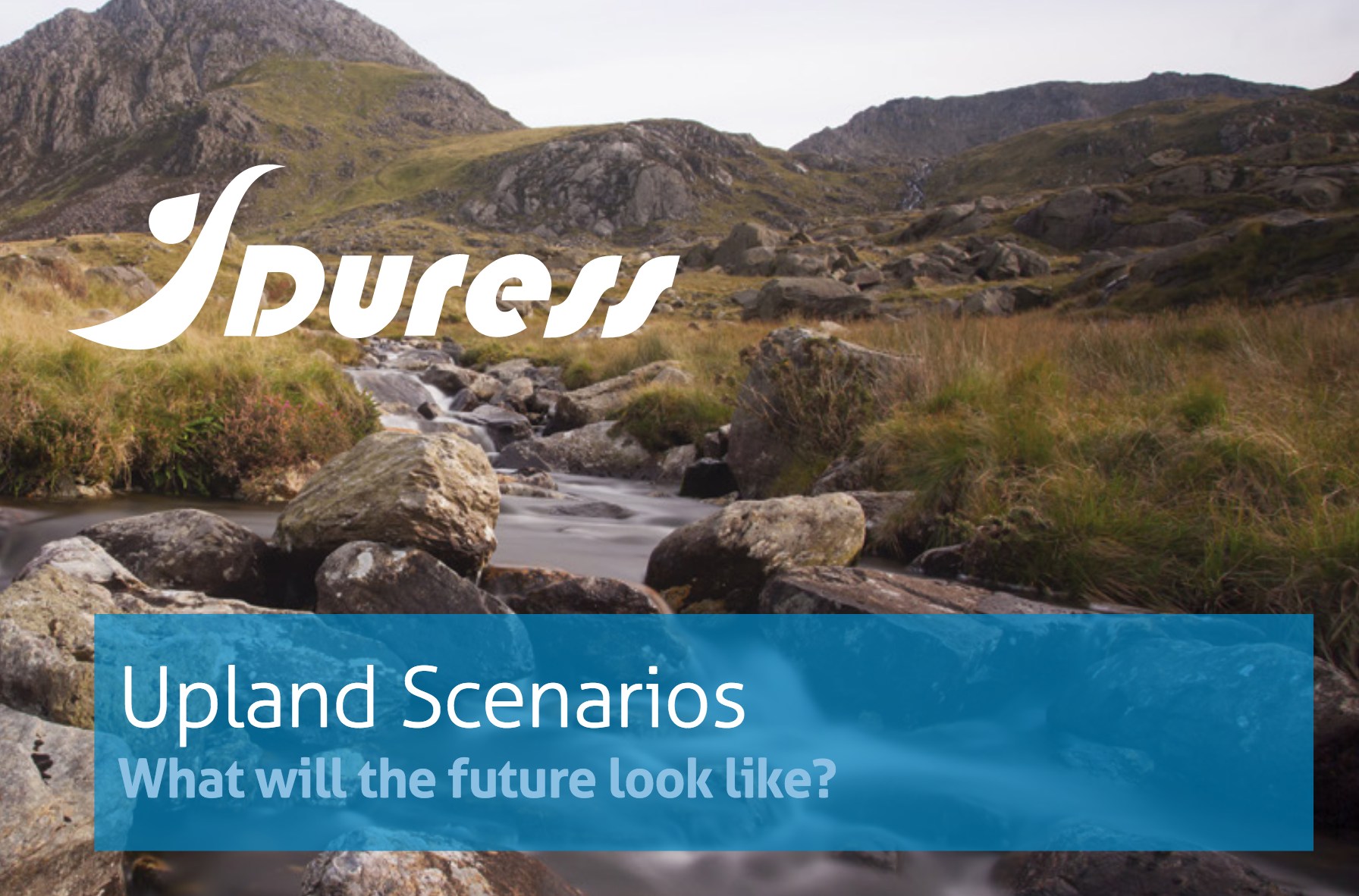 Shaping the Future of UK Upland Environments | The Freshwater Blog