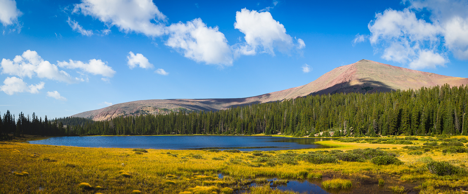 Remote alpine lakes affected by nitrogen from agriculture transported ...