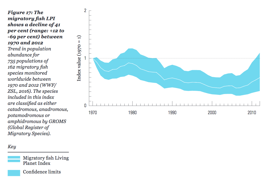 Freshwater species populations fall by 81% between 1970 and 2012 | The ...