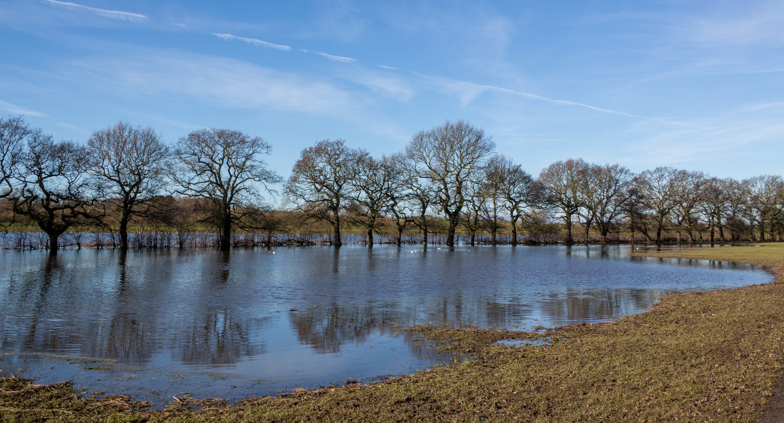 Multiple pressures and the ecological status of European rivers | The ...