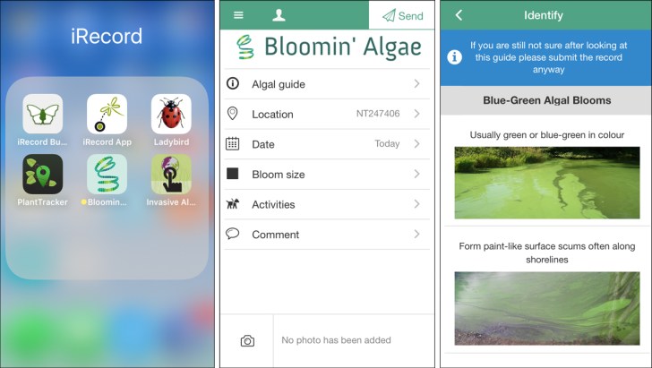 Bloomin’ Algae: a citizen science app to track algal blooms | The ...