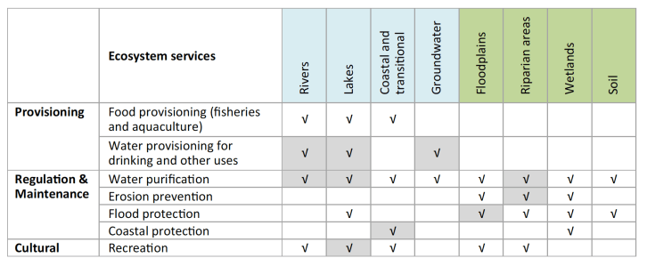Europe’s aquatic ‘life support system’: good ecological condition ...