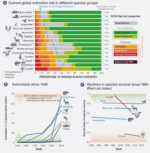 The IPBES Global Assessment: five things we learnt about freshwater ...