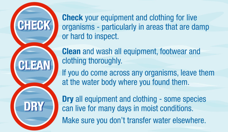 Check, clean, dry: how can canoers help control the spread of invasive ...