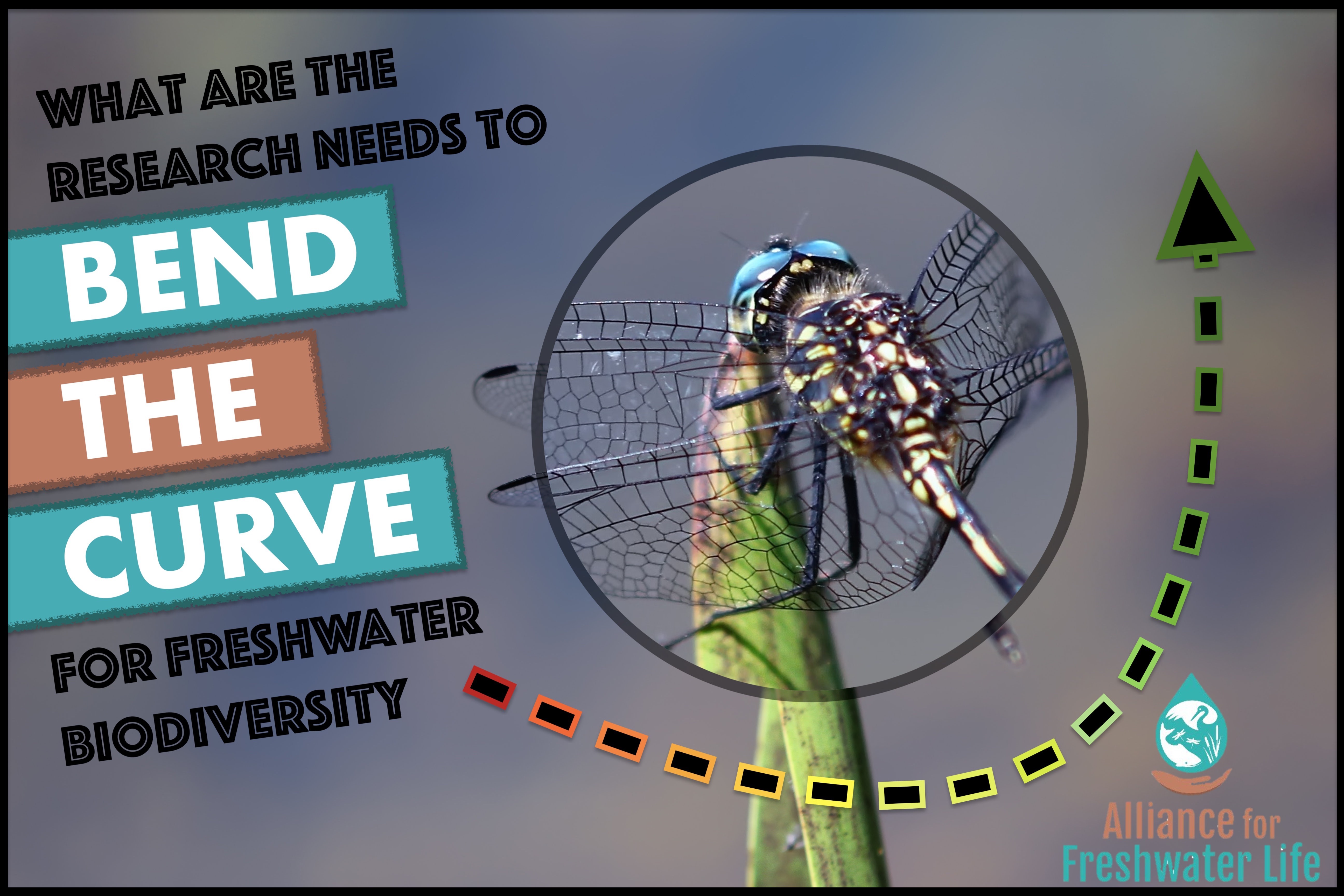 Bending the curve of freshwater biodiversity decline | The Freshwater Blog