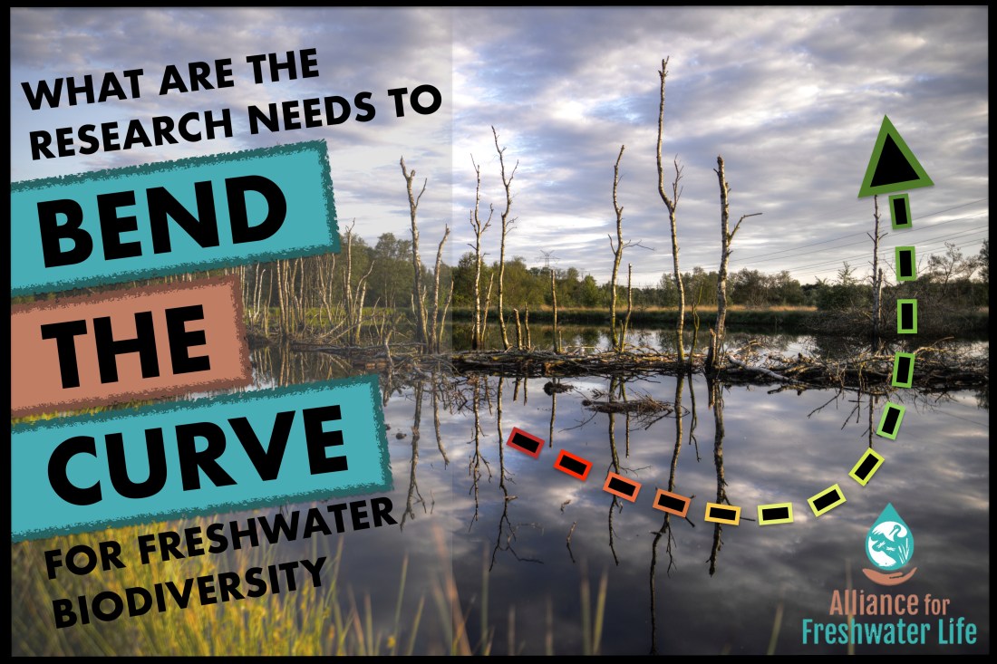 Bending the curve of freshwater biodiversity decline | The Freshwater Blog