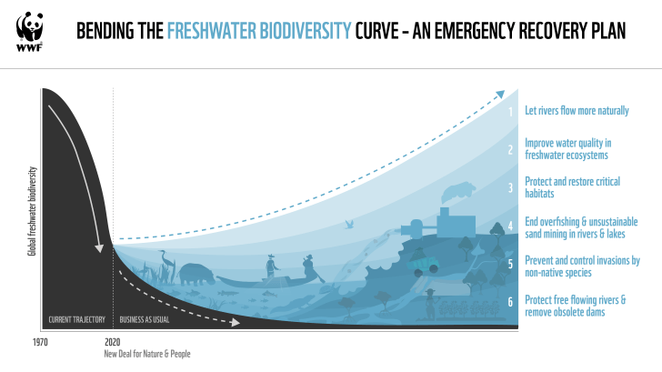 An Emergency Recovery Plan for global freshwater biodiversity | The ...
