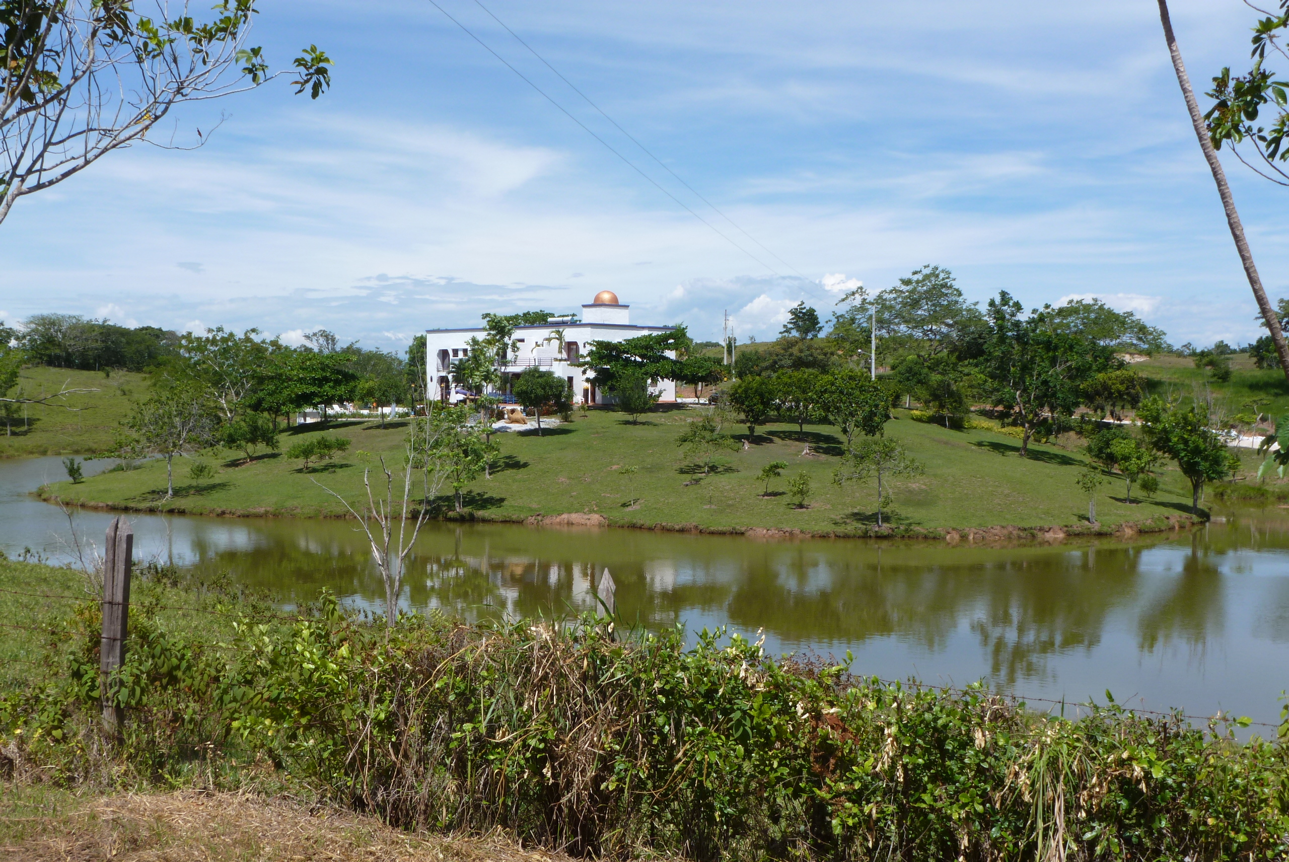 Are Pablo Escobar’s hippos restoring ‘lost’ ecological processes to ...
