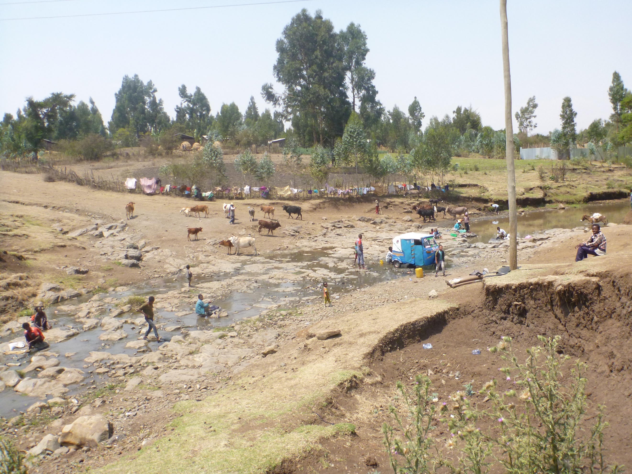 Assessing Ethiopian river water quality: indicator choice matters | The ...