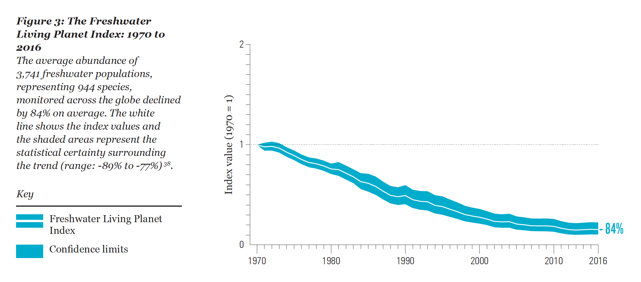 84% of global freshwater species populations lost since 1970: can we ...