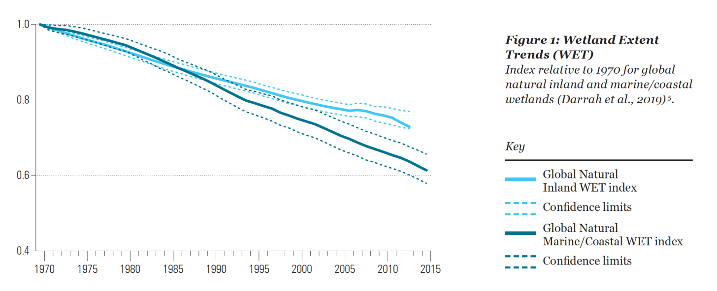84% of global freshwater species populations lost since 1970: can we ...