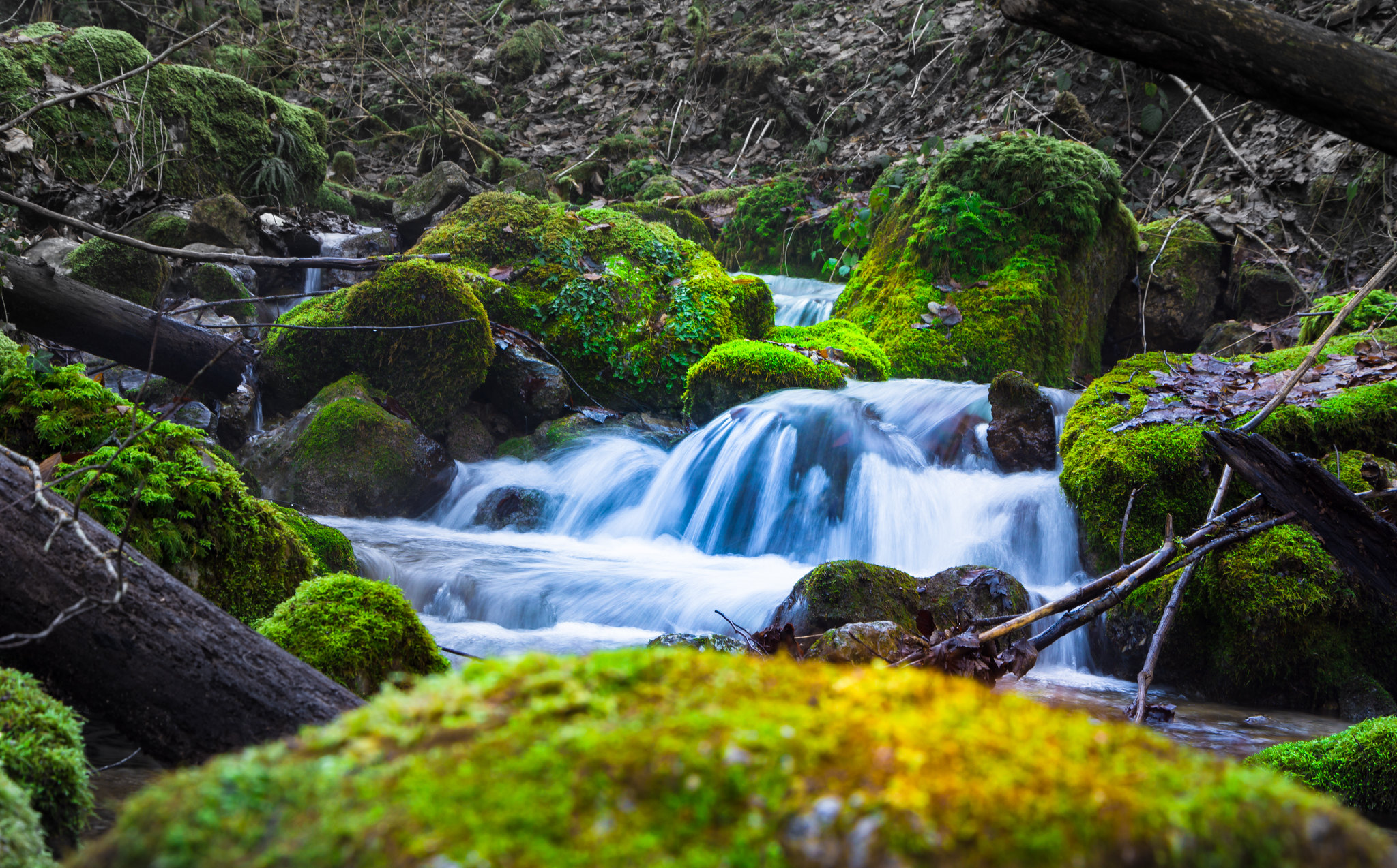 Top 10 posts of 2020 | The Freshwater Blog