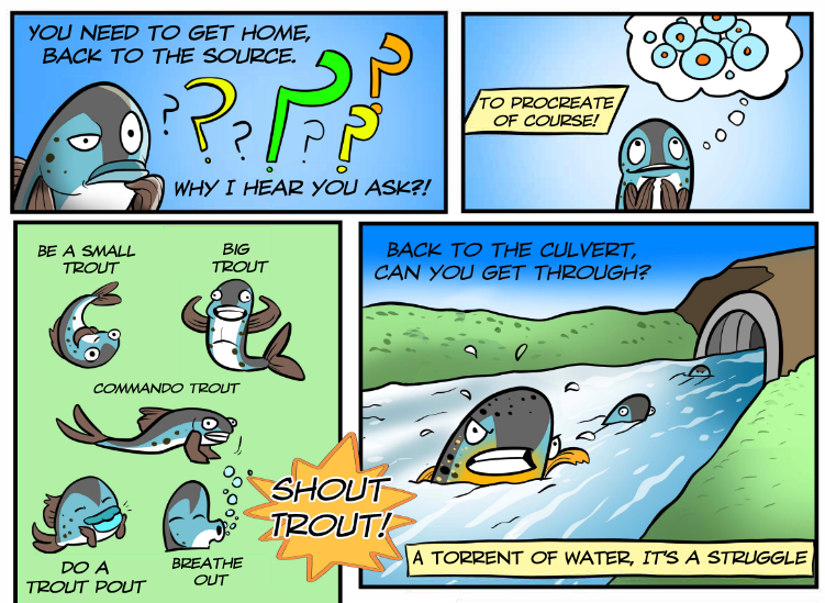 Shout Trout Workout: creative methods for communicating fish migration ...
