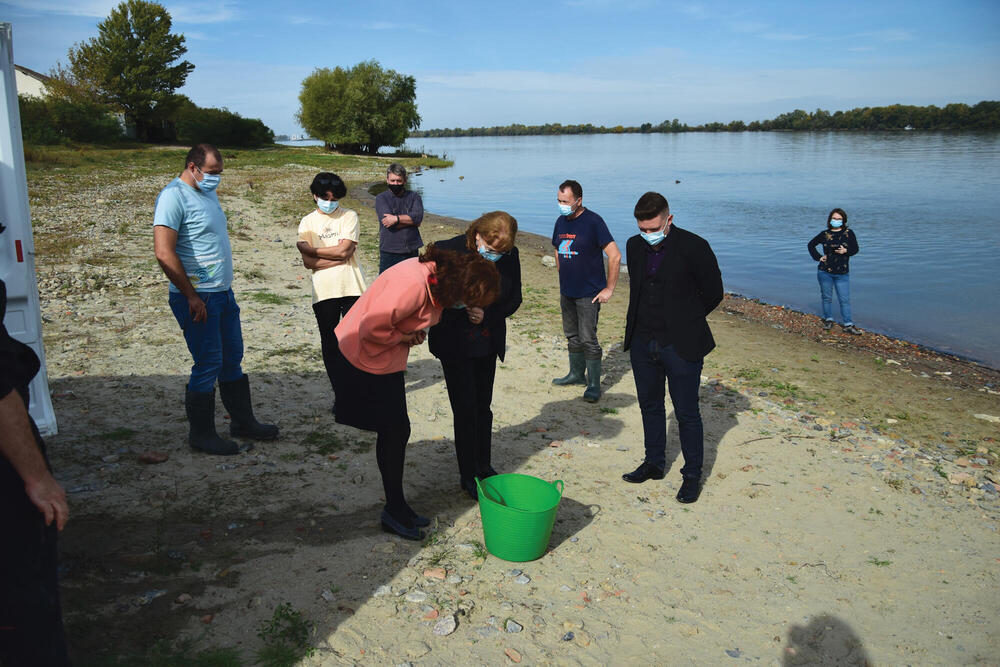 Restoring Danube sturgeon populations through ex-situ conservation ...
