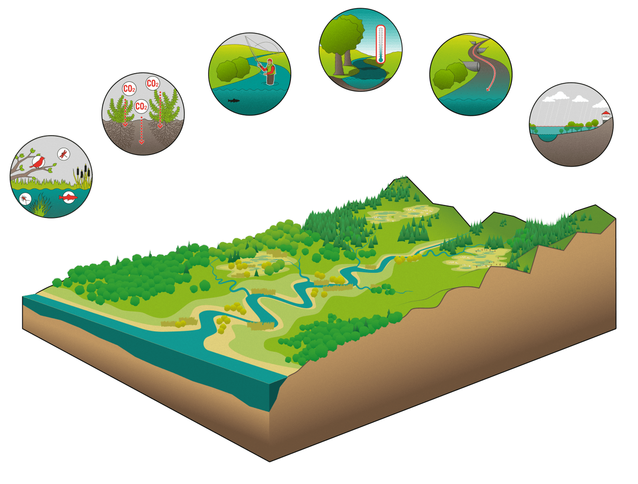 Optimising nature-based solutions in pressurised river catchments | The ...