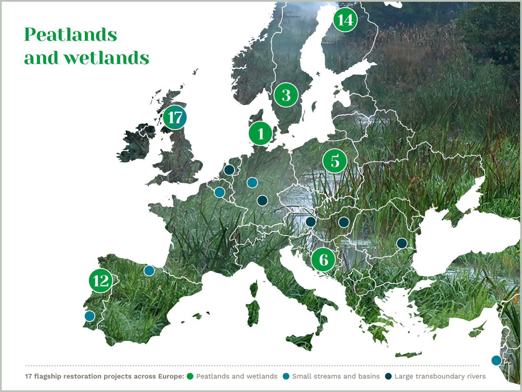 MERLIN restoration case studies: peatlands and wetlands | The ...