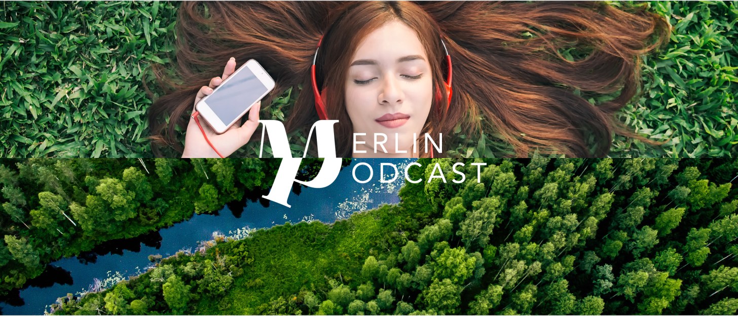 MERLIN Podcast Episode 3 – Restoring Europe’s peatlands and wetlands ...
