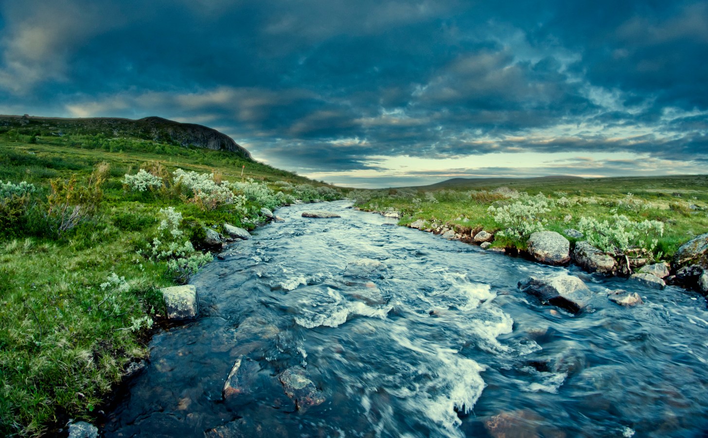 Ecosystem restoration and nature-based solutions: how do they differ ...