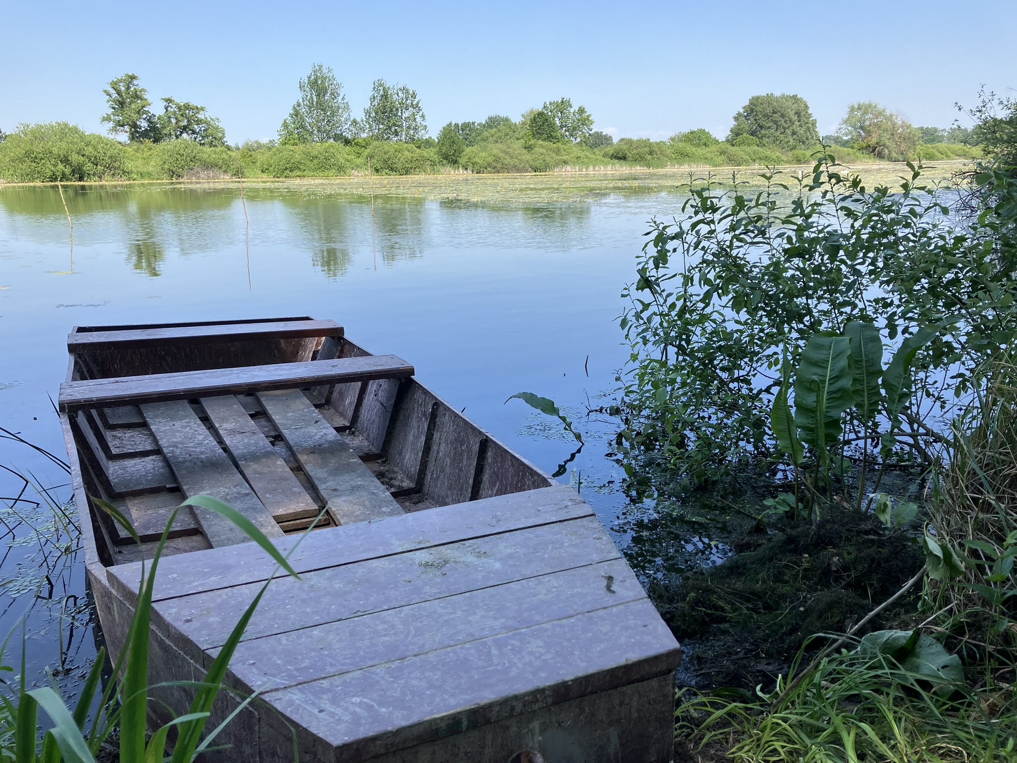 Large river restoration under the spotlight along the banks of the ...