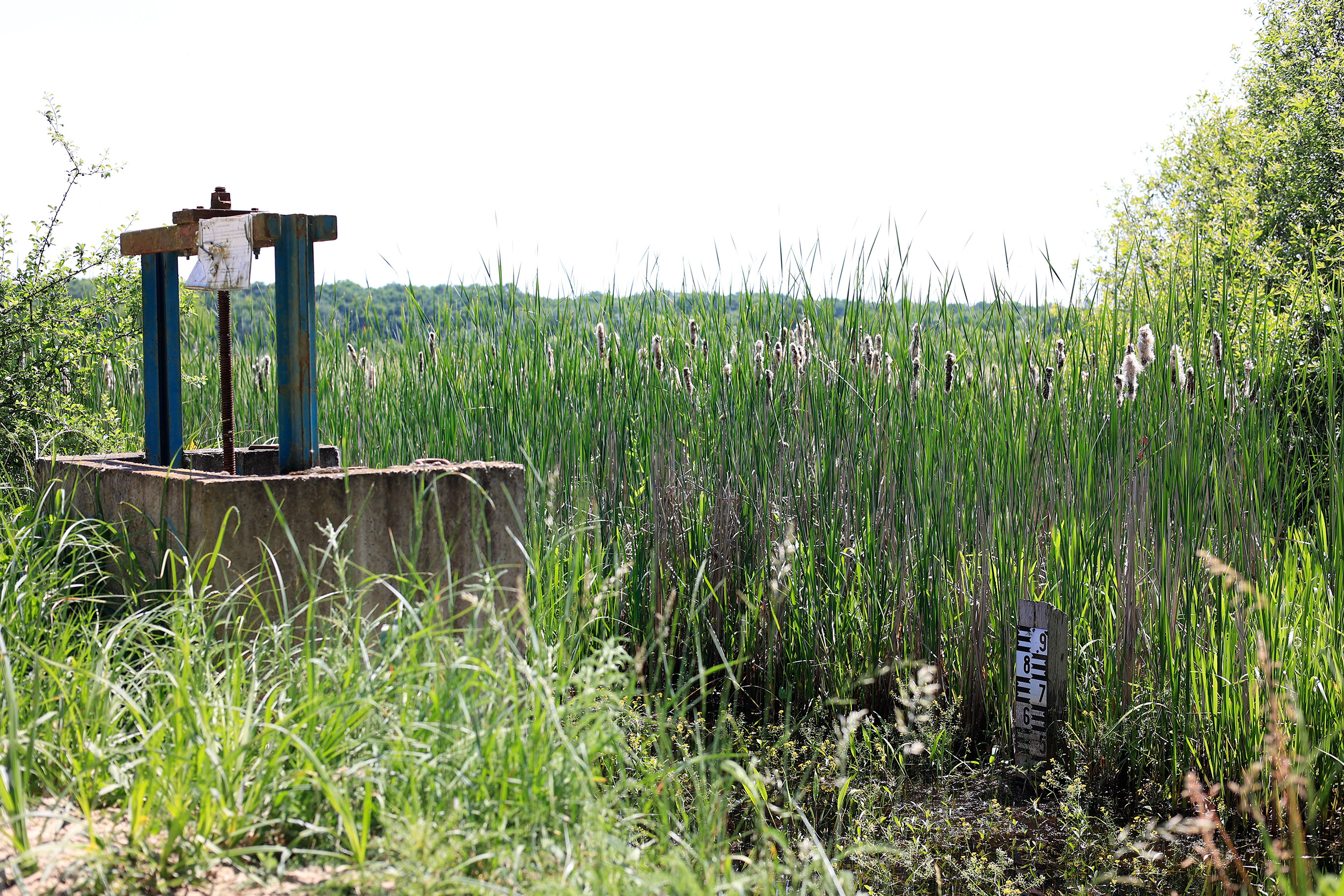 Large river restoration under the spotlight along the banks of the ...