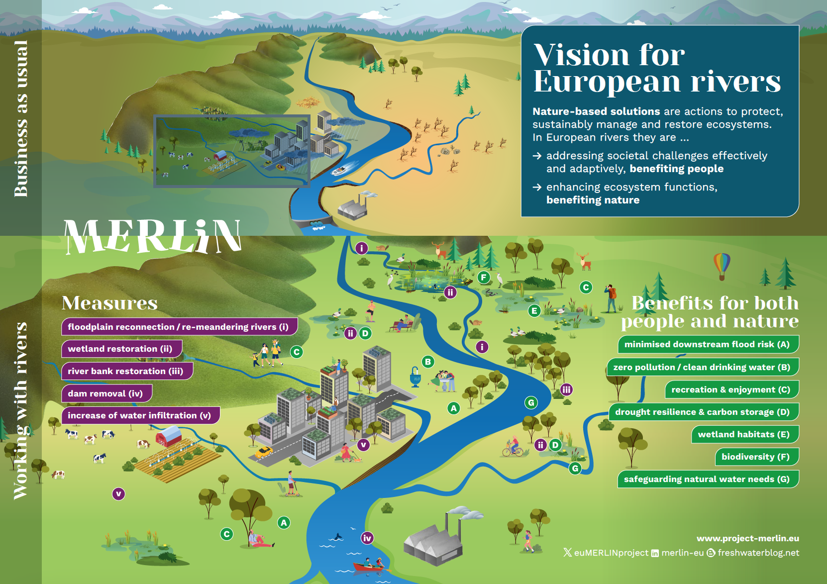 Working with nature to shape a healthier future for Europe’s rivers ...
