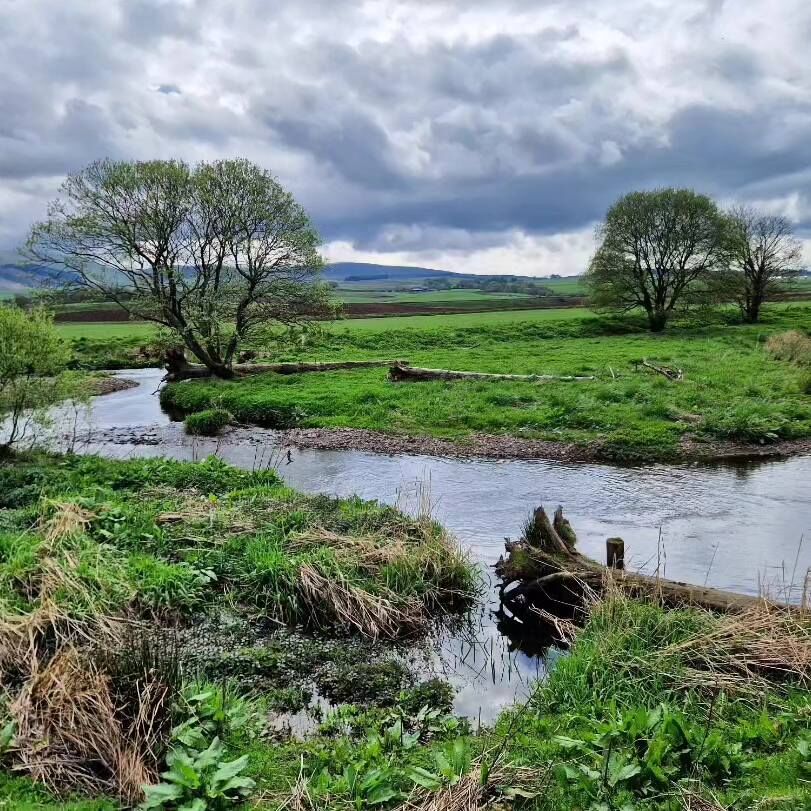 Allan Water restoration project wins major Scottish award | The ...