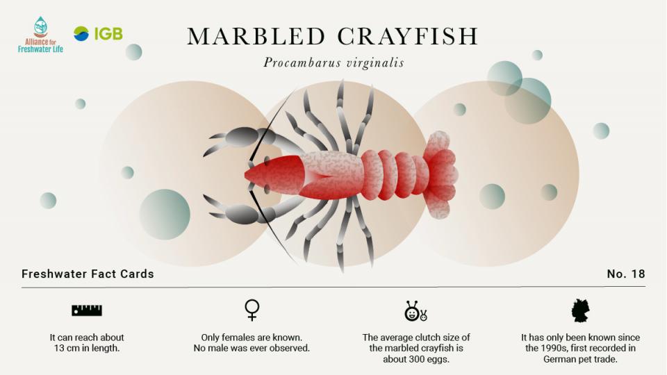 Online marketplaces create new routes for the spread of invasive ...