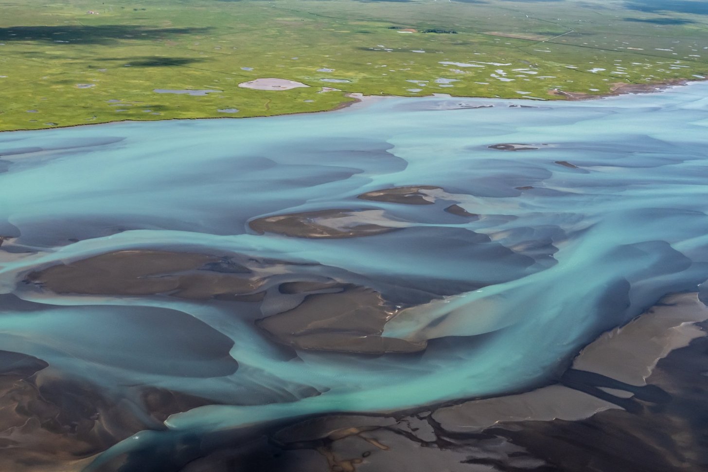 The Freshwater Blog