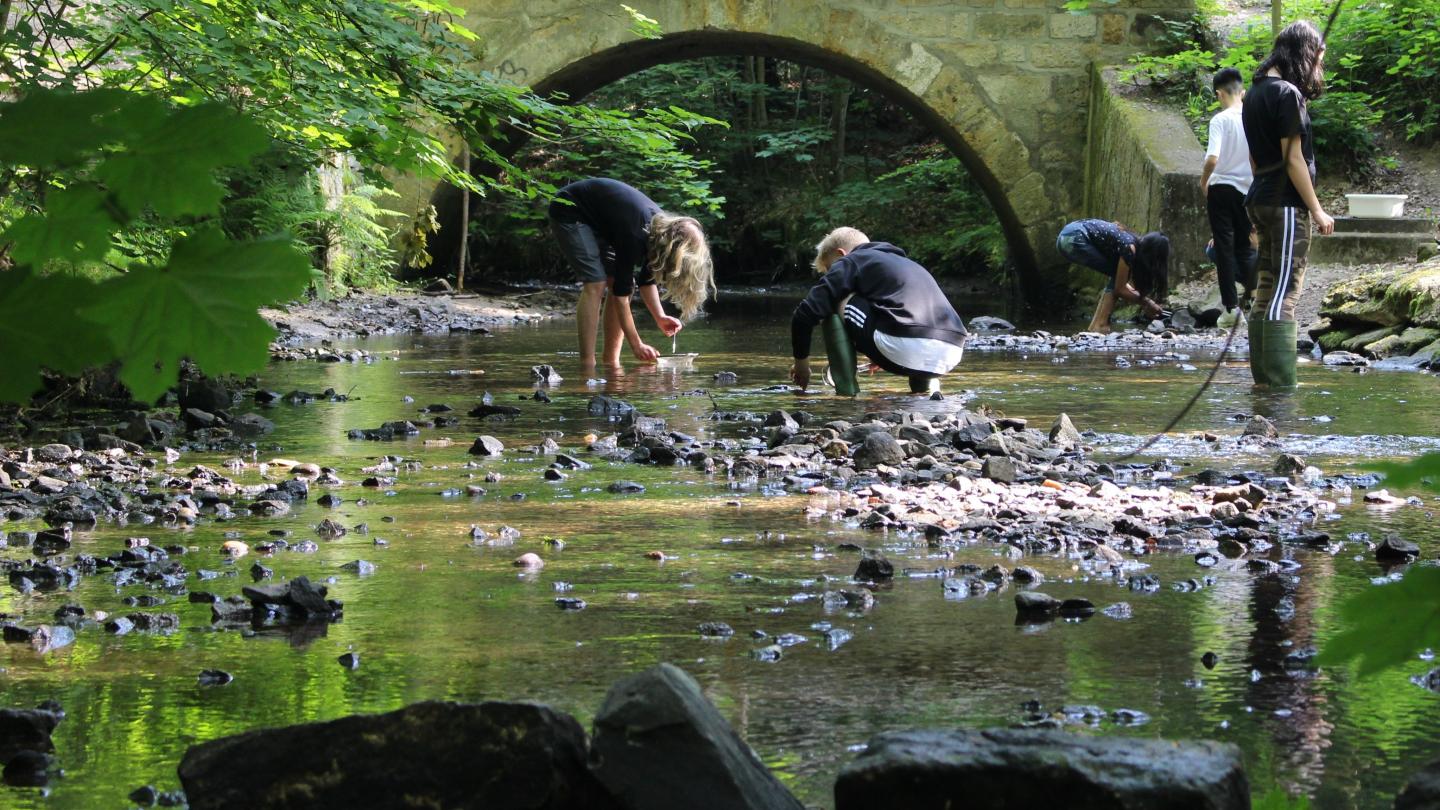 A ‘how-to guide’ for citizen scientists on small stream restoration ...