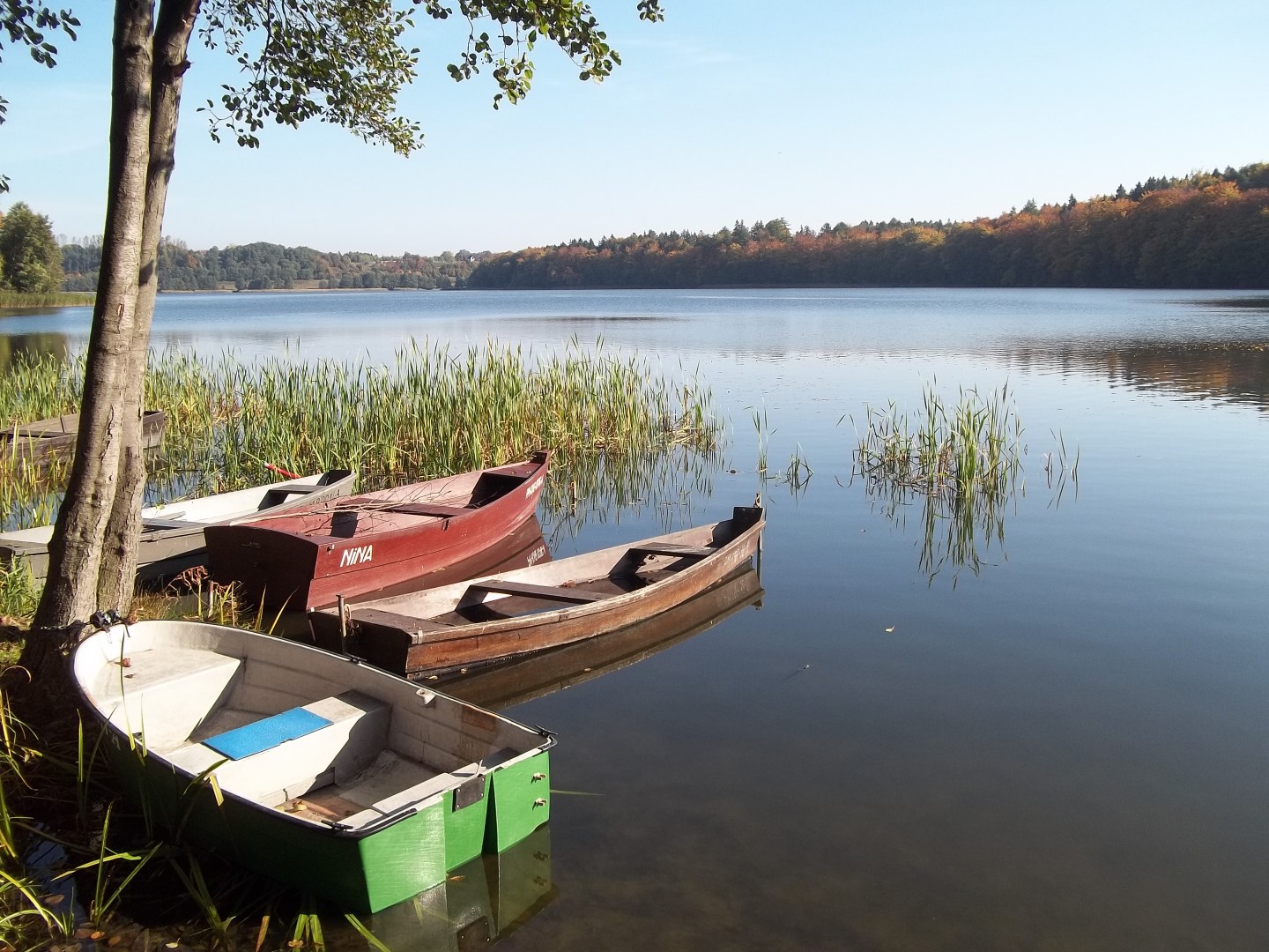Choosing where to begin: scaling up lake restoration across Europe ...